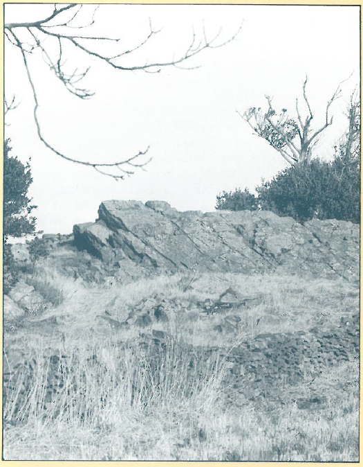 Geological Walks in Charnwood Forest