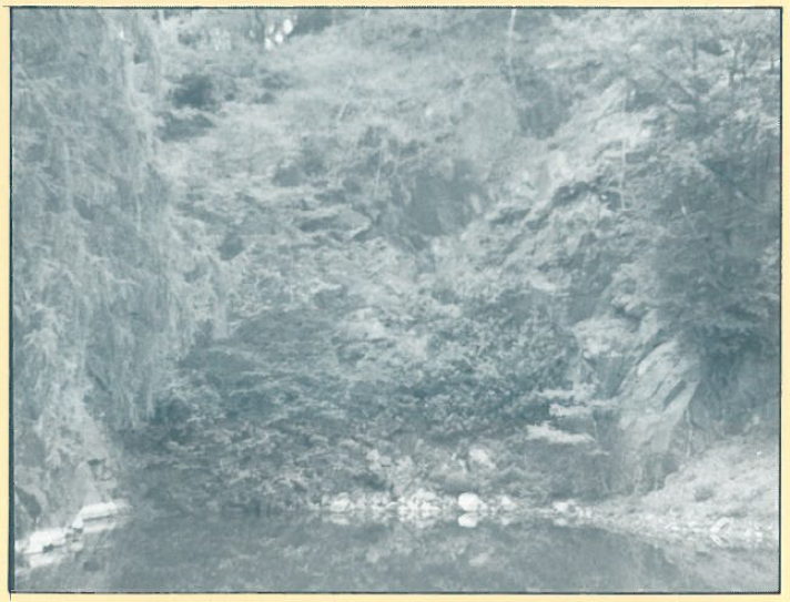 Geological Walks in Charnwood Forest