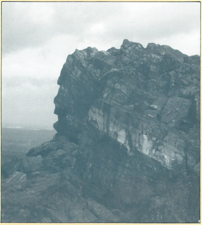 Geological Walks in Charnwood Forest